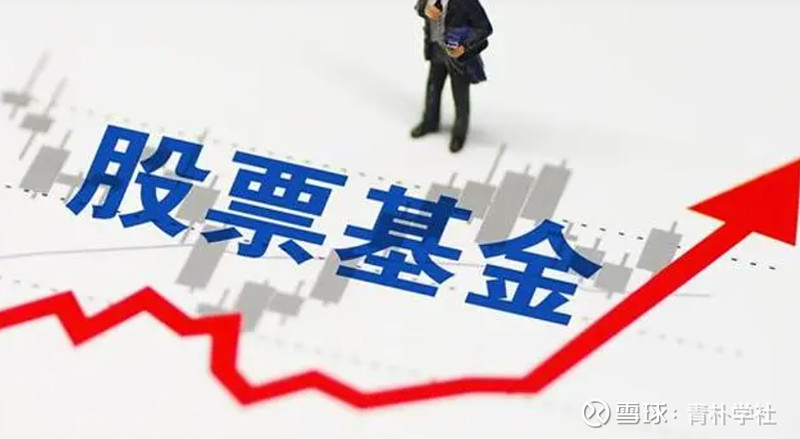 什么是投资策略 1.什么是策略？策略，是一种方法，是在一定的环境中，为了达成自己或者团体的目的，采取的应对手段和思路。比如：生存策略、竞 ...