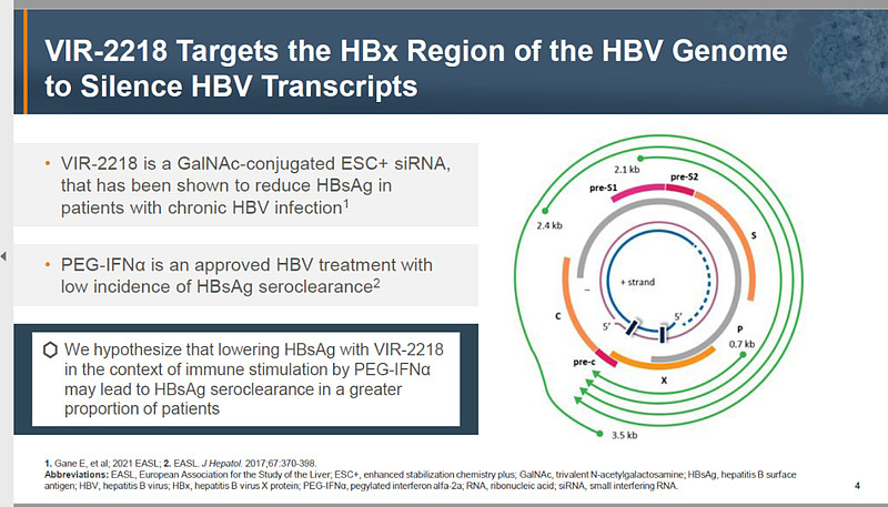 功能性治愈乙肝，又近了一步 日前， Vir Biotechnology 宣布，其创新乙肝病毒疗法取得可喜进展：在最高剂量组合疗法治疗48周后 ...