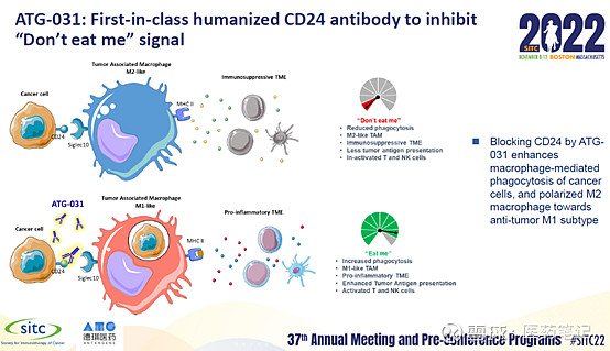 CD24：巨噬细胞检验点的明日之星 2020年11月， 默沙东 宣布以4.25亿美元现金预付款收购OncoImmune的CD24-Fc，这一 ...