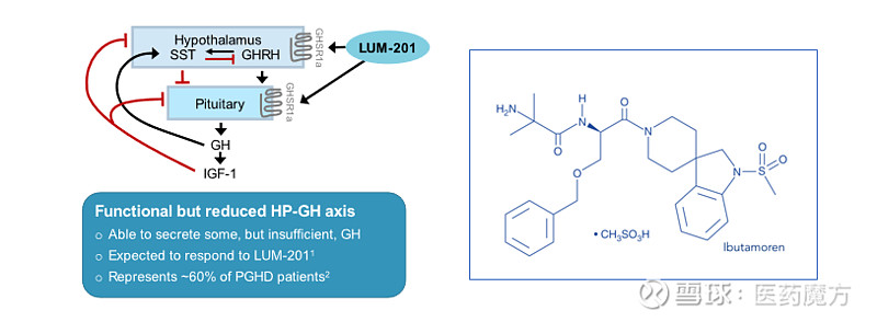 一年长高8.6厘米！儿童生长激素缺乏症口服疗法两项II期研究成功 11月14日， Lumos Pharma 宣布，其生长激素促分泌素受体 ...