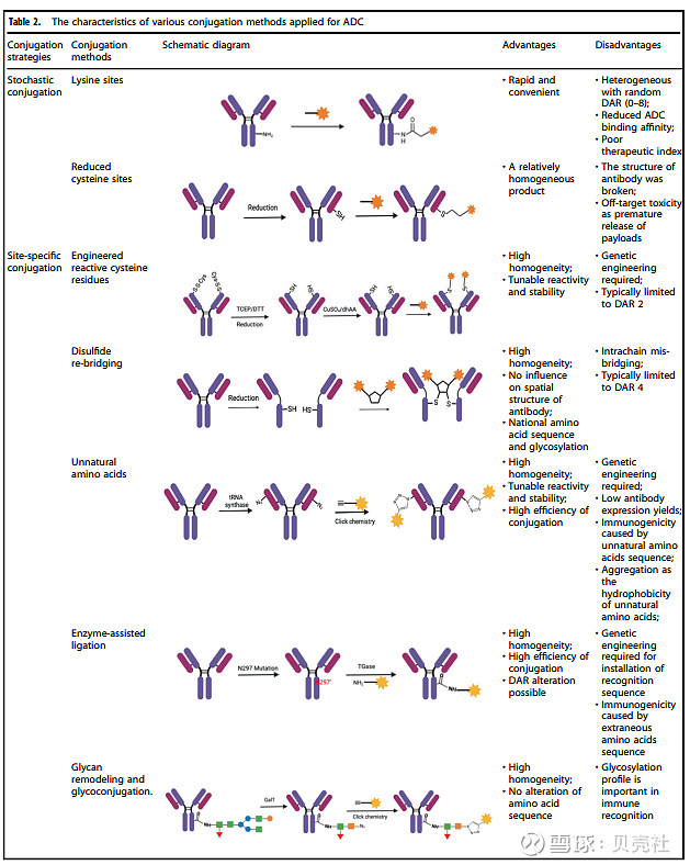 ADC技术报告：下一代ADC发展前景预测 作者：北北 抗体偶联药物（ADC）是近年来肿瘤治疗的热门赛道，通常由单克隆抗体（mAb）通过化学合成 ...