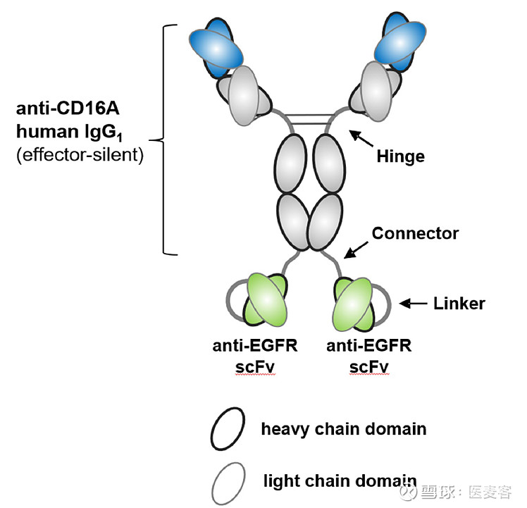 NK疗法100%ORR缔造者Affimed：商业版图与最新进展梳理 2022年11月18日/医麦客新闻 eMedClub News/--近日 ...