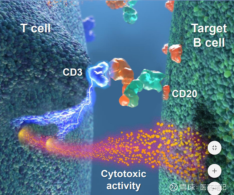 艾伯维/Genmab：CD3/CD20双抗获FDA优先审评资格 Armstrong 2022年11月21日，艾伯维与 Genmab 宣布CD3/CD20双抗Epcoritamab的上... - 雪球