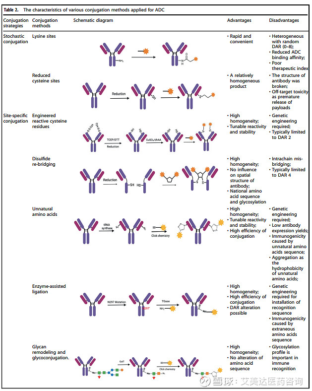 ADC技术报告：下一代ADC发展前景预测 抗体偶联药物（ADC）是近年来肿瘤治疗的热门赛道，通常由单克隆抗体（mAb）通过化学合成的连接子 ...