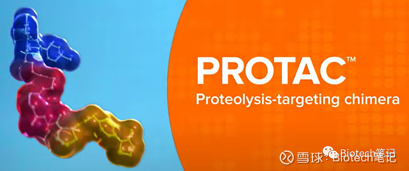 PROTAC行不行？辉瑞10亿美元首付款投资打水漂？Arvinas II期临床数据暴雷 PROTAC疗法还行吗？本周 Arvinas 公司被迫透露了即将在2022年圣安东尼奥乳腺癌研讨会 ...