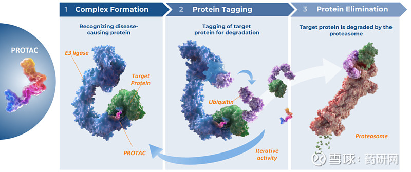 PROTAC全球布局一览 昨日， 开拓药业 宣布已完成全球首个外用PROTAC(GT20029)I期临床试验，治疗雄激素性脱发（AGA）和痤疮 ...