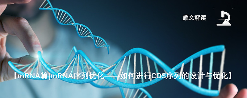 【耀文解读】mRNA篇|mRNA序列优化——如何进行CDS序列的设计与优化 #mrna疫苗# #mRNA疗法# #CDMO# 注：本文不构成任何投资意见和建议，以官方/公司公告为准；本文仅作 ...