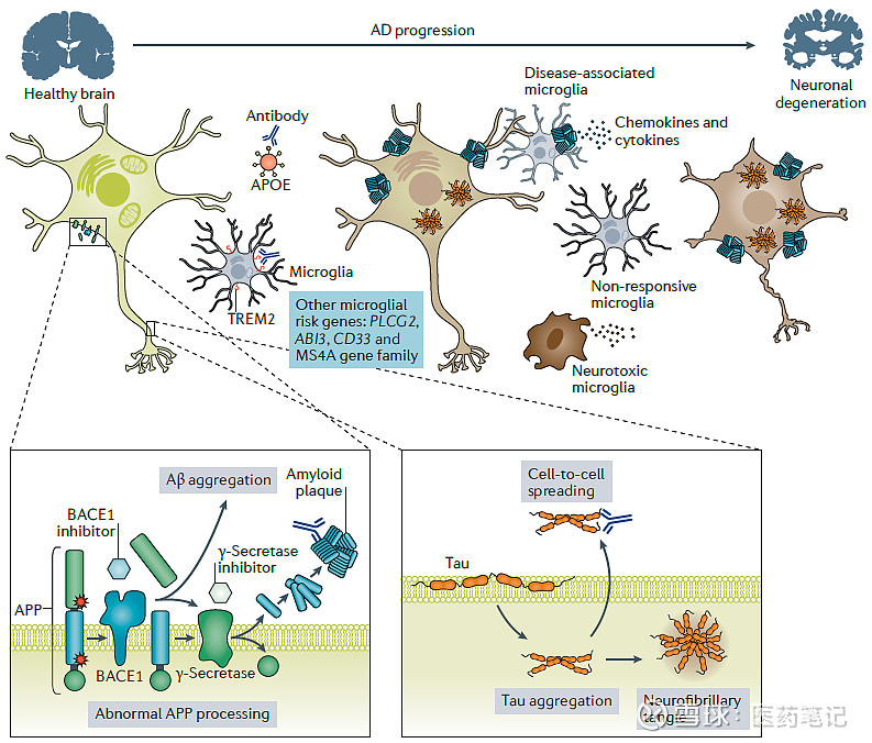 Aβ好戏不断：礼来Donanemab头对头击败渤健Aducanumab Armstrong 2022年11月30日， 礼来 发布 ...