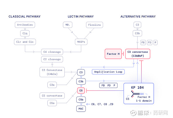 科越医药KP104的II期临床完成首例患者给药 11月30日，科越医药宣布，其开发的KP104用于治疗陈发性睡眠性血红蛋白尿症（PNH）的II ...