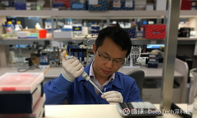 深挖1400种转录因子:科学家发现在基因组调控区域的结合规律,揭开细胞内转录因子之间的合作规则 在人类基因组中,大约包含 2 万个编码蛋白质的