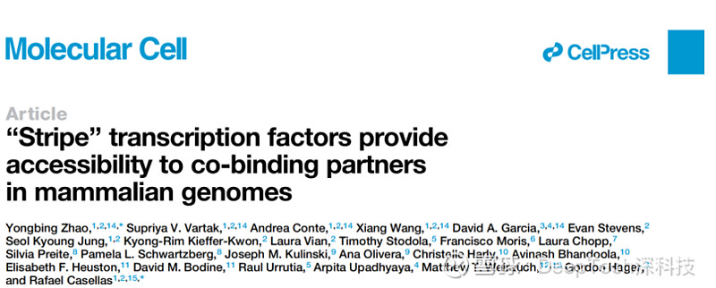 深挖1400种转录因子：科学家发现在基因组调控区域的结合规律，揭开细胞内转录因子之间的合作规则 在人类基因组中，大约包含 2 万个编码蛋白质的 ...