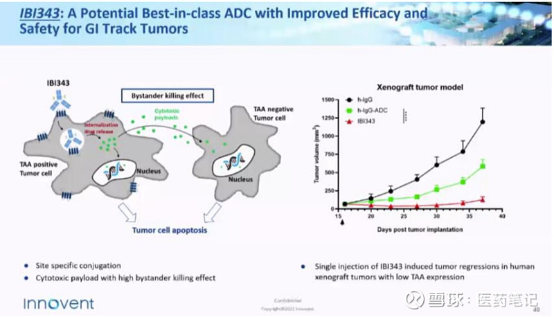 444例：信达生物第2款ADC启动1/2期临床，靶向HER2 Armstrong 2022年12月5日， 信达生物 在 ...