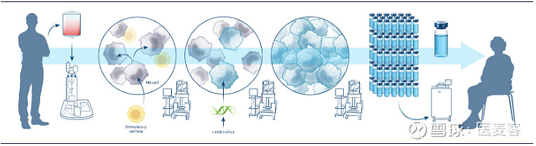 CR达70%，Nkarta的IL-15 CAR-NK临床1期数据亮眼，NK疗法迎爆发式进展！ 2022年12月7日/医麦客新闻 eMedClub News/--近日， Nkarta 宣布了其在 ...