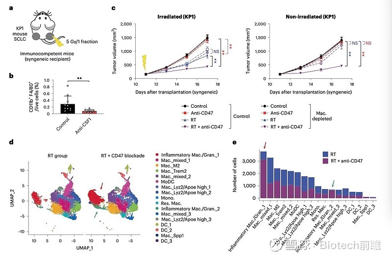 自然子刊丨放疗联合CD47阻断引发巨噬细胞介导的免疫反应 ——楔 子——知识体系的构建，从0到1是难的，即从无到有是难的。从1到2是容易的，即从基础到细分领域是容易的。正如最近的... - 雪球