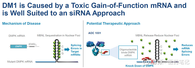 抗体偶联siRNA：Avidity股价大涨40%，披露首发管线初步临床数据 Armstrong 2022年12月14日， Avidity Biosciences 在投资者日活动上公开了首发管线 ...