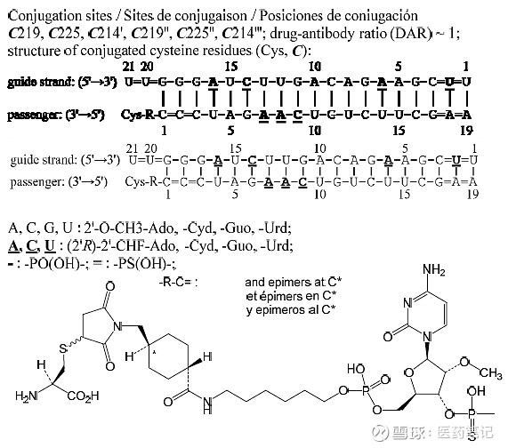 抗体偶联siRNA：Avidity股价大涨40%，披露首发管线初步临床数据 Armstrong 2022年12月14日， Avidity Biosciences 在投资者日活动上公开了首发管线 ...