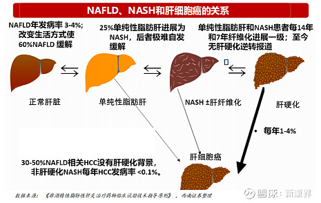 NASH百亿美元蓝海市场，MNC药企“抢食” 地球自转一圈是一天，公转一圈是一年。 但一年又一年过去，至今仍未有一款治疗非酒精性脂肪性肝炎 ...