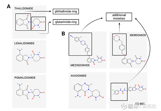 多发性骨髓瘤治疗靶点：CRL4 E3连接酶 药渡 / 夕阳涂鸦 多发性骨髓瘤（MM）是第二大最常见的血液系统恶性肿瘤，在临床病征上容易复发。而 ...