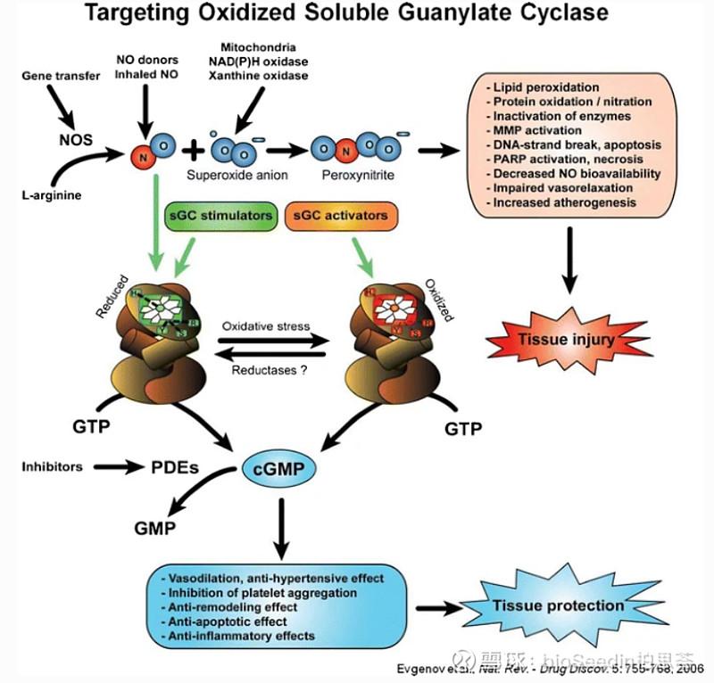 项目合作｜sGC刺激剂 01项目概况1. 项目名称：sGC刺激剂2. 适应症：肺动脉高血压(PAH)、慢性血栓栓塞性肺动脉高压(CTEPH ...