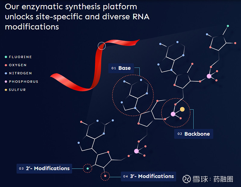 脱胎于哈佛，EnPlusOne Bio用酶促解决RNA合成难题 声明：因水平有限，错误不可避免，或有些信息非最及时，欢迎留言指出。本文仅作 医疗健康 相关药物介绍，非治疗方案推荐（若涉... - 雪球