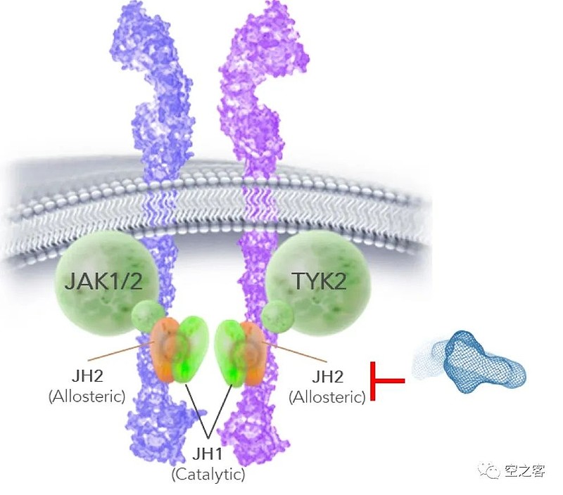 【药海听涛】白马也是马：“AI”药企Nimbus以60亿美元出售TYK2变构抑制剂 上周令医药界和人工智能圈共同倍感振奋的消息，莫过于Nimbus将旗下的一款TYK2变构抑制剂NDI ...