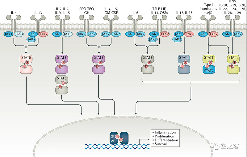 【药海听涛】白马也是马：“AI”药企Nimbus以60亿美元出售TYK2变构抑制剂 上周令医药界和人工智能圈共同倍感振奋的消息，莫过于Nimbus将旗下的一款TYK2变构抑制剂NDI ...