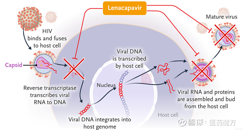 每年用药2次！吉利德长效HIV疗法获FDA批准 12月22日，吉利德（Gilead）宣布FDA已批准Sunlenca®（lenacapavir ...