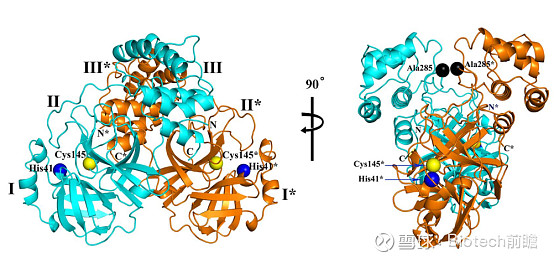 君实RdRp抑制剂的隐忧丨与3CL蛋白酶抑制剂的对比说起 君实生物 旗下的口服核苷类抗新型冠状病毒（SARS-CoV-2）药物VV116 ...