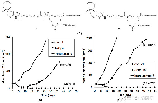 21.5亿美元！Synaffix两天达成两项ADC合作 1月4日和5日，Synaffix宣布分别与Hummingbird Bioscience ...