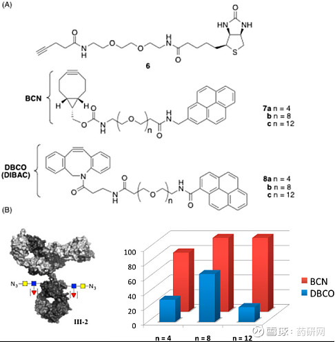 21.5亿美元！Synaffix两天达成两项ADC合作 1月4日和5日，Synaffix宣布分别与Hummingbird Bioscience ...