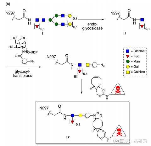 21.5亿美元！Synaffix两天达成两项ADC合作 1月4日和5日，Synaffix宣布分别与Hummingbird Bioscience ...