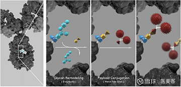 Synaffix两天狂揽21.5亿美元，最佳ADC平台牛在哪？ 2023年1月7日/医麦客新闻 eMedClub News/--近日，荷兰生物 ...