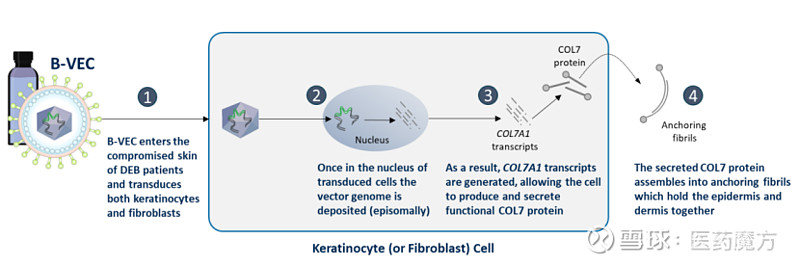 2023上半年FDA有望批准的10款新药 2022年，美国FDA共批准了37款新药。1月6日，渤健/卫材阿尔茨海默症（AD）新药 ...