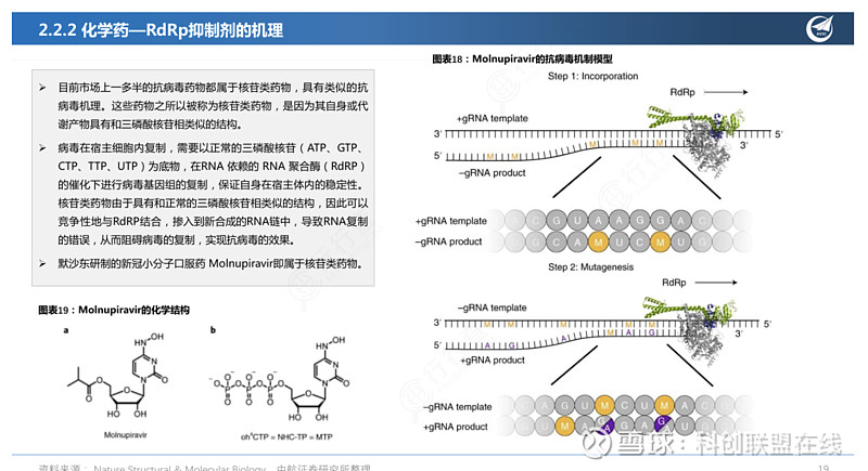 进击的RdRp抑制剂：阿兹夫定、VV116成新冠口服药“国货之光” 正面会师默沙东 欲打破辉瑞神话？ 财联社1月8日讯（编辑 俞琪）国内对新冠 ...