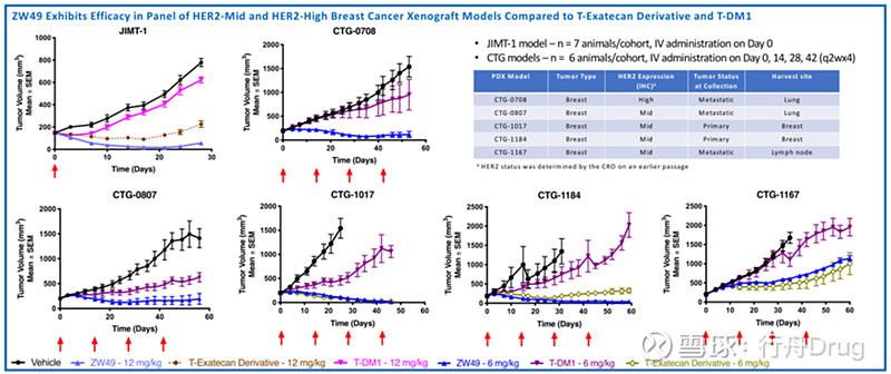 双抗ADC已悄悄上临床，让我们探探有哪些！ 前言 双抗ADC是一个更崭新的概念。相较于单抗，一方面，双抗可更加特异性地靶向肿瘤细胞，克服耐药性 ...