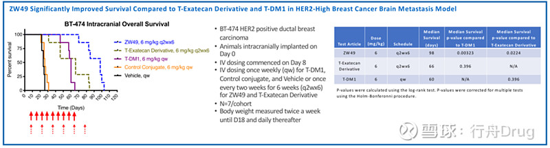 双抗ADC已悄悄上临床，让我们探探有哪些！ 前言 双抗ADC是一个更崭新的概念。相较于单抗，一方面，双抗可更加特异性地靶向肿瘤细胞，克服耐药性 ...