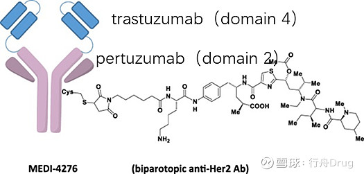 双抗ADC已悄悄上临床，让我们探探有哪些！ 前言 双抗ADC是一个更崭新的概念。相较于单抗，一方面，双抗可更加特异性地靶向肿瘤细胞，克服耐药性 ...