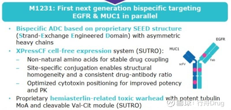 双抗ADC已悄悄上临床，让我们探探有哪些！ 前言 双抗ADC是一个更崭新的概念。相较于单抗，一方面，双抗可更加特异性地靶向肿瘤细胞，克服耐药性，并减少副作用。另一方... - 雪球