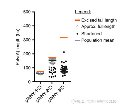 【耀文解读】mRNA篇︱polyA尾序列的设计与优化 #mRNA新冠疫苗# #CDMO# #mRNA疗法# 注：本文不构成任何投资意见和建议 ...