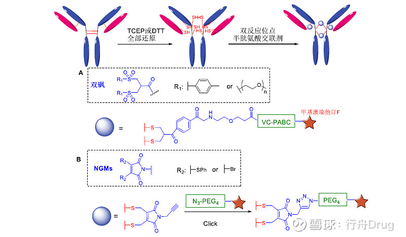 分享 | 抗体偶联药物中连接技术研究进展 点击上方的 行舟Drug 添加关注 癌症是危害人类生命健康的头号杀手[1]。传统治疗包括手术、化疗和 ...