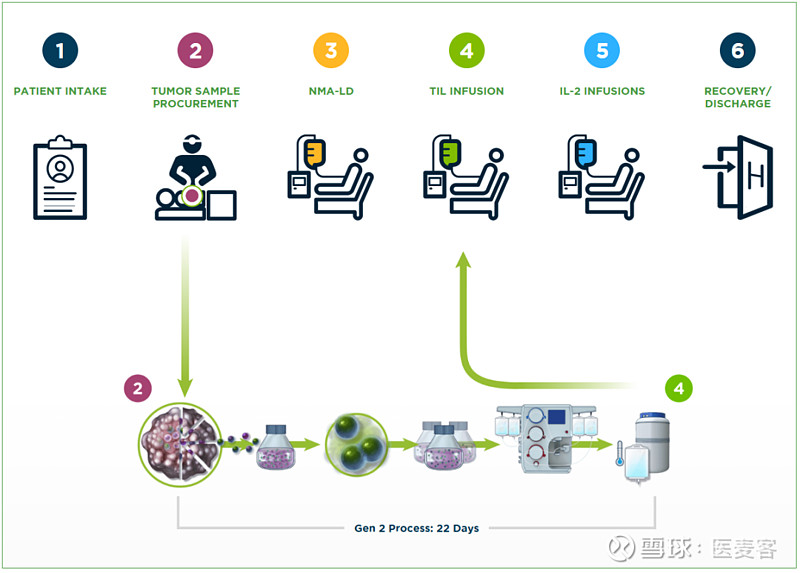 首个TIL疗法上市在即，从领头企业Iovance管线布局看TIL发展 近期热门文章 ★头部玩家告诉你，体内制备CAR-T，有多少种实现路径？ ★前有 BioNtech & Moderna ...