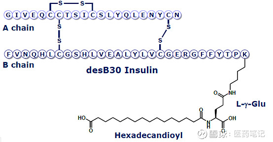 恒瑞医药：长效胰岛素启动501例三期临床 Armstrong 2023年1月26日， 恒瑞医药 在Clinicaltrials.gov网站上 ...
