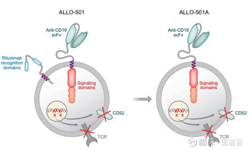 Allogene发布新靶点UCAR-T，直指小细胞肺癌，通用型CAR-T进展一览 2023年1月30日/医麦客新闻 eMedClub News ...
