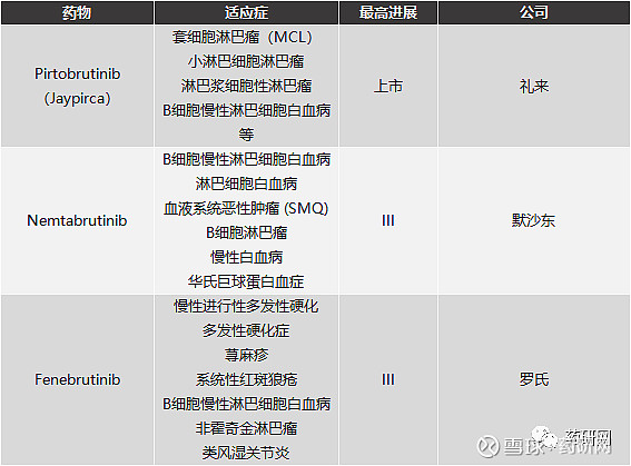 共价和非共价：BTK抑制剂的发展与应用 2023年1月27日， 礼来 的非共价BTK抑制剂Jaypirca™（pirtobrutinib）获FDA加速批准用于复... - 雪球