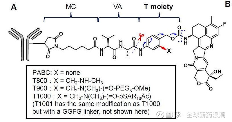 能比8201更好吗？T moiety-exatecan ADCAntibody-exatecan conjugates ... - 雪球