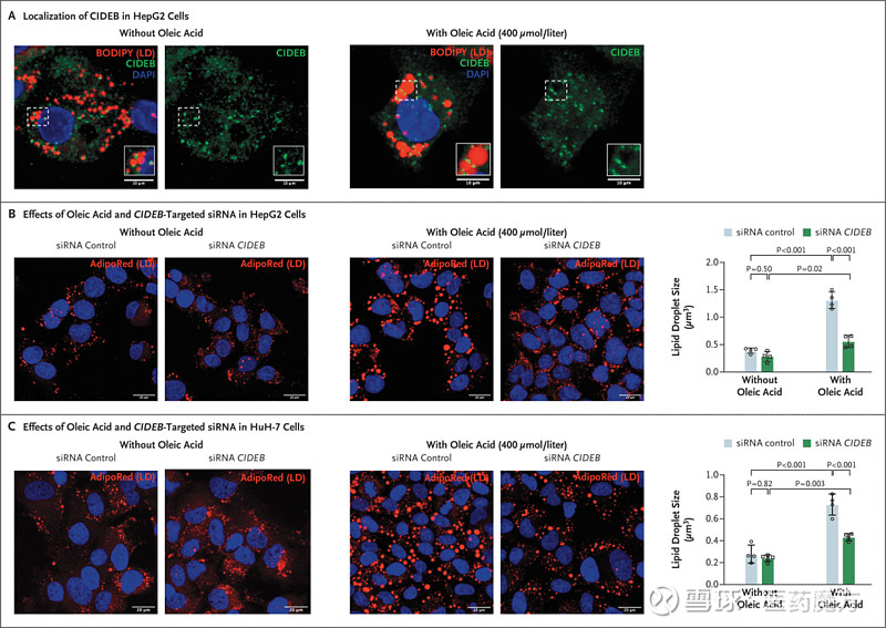 重磅公布！2022医药魔方转化医学Top25靶点 2022年1月，医药魔方基于NextPharma数据库-转化医学模块，筛选出了2021年最值得关注的25个转化医学靶点，... - 雪球