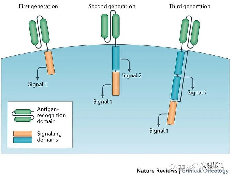 全球首款CAR-T的销售额为何下降 摘要：该药物的效果和价格有影响，但也面临抗体药物的竞争，且后者愈演愈烈。一、Kymriah本身的效果和价格 ...