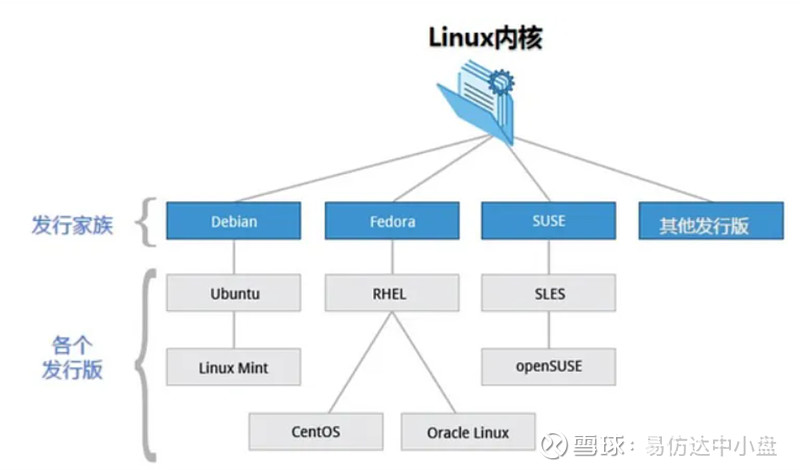 常见Linux的发行版有哪些？不同发行版之间有何联系与区别？ $微软(MSFT)$ $英特尔(INTC)$ $英伟达(NVDA)$ Linux ...