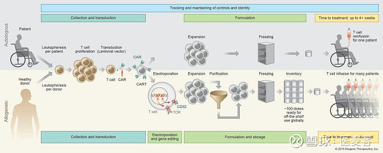 CD70 CAR：免疫排斥破局新思路，Allogene新一代UCAR-T临床前数据首次发布 2023年2月3日/医麦客新闻 eMedClub ...