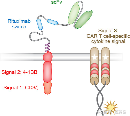 CD70 CAR：免疫排斥破局新思路，Allogene新一代UCAR-T临床前数据首次发布 2023年2月3日/医麦客新闻 eMedClub ...